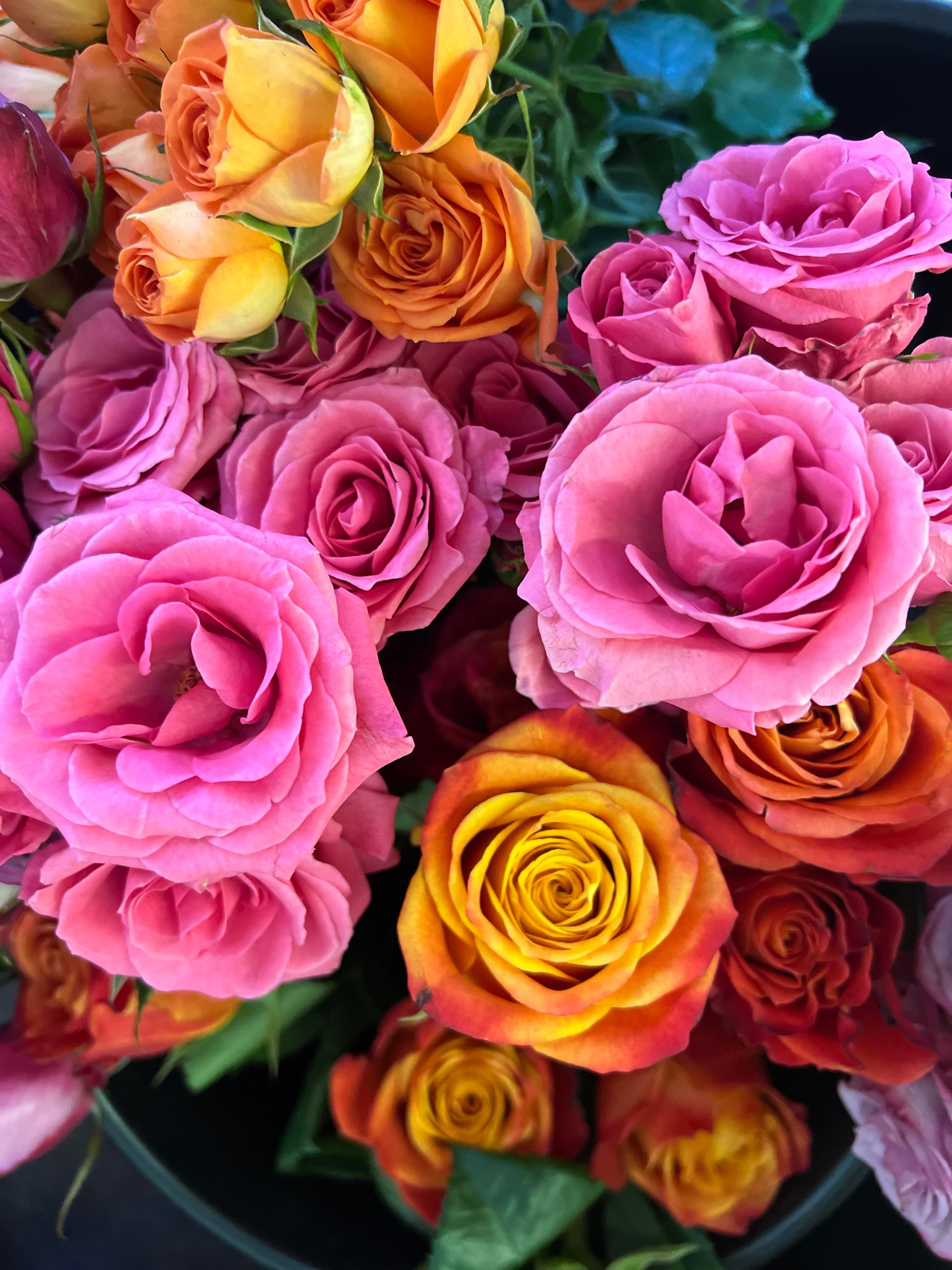 Special of the week – The Flower Shop Gainesville